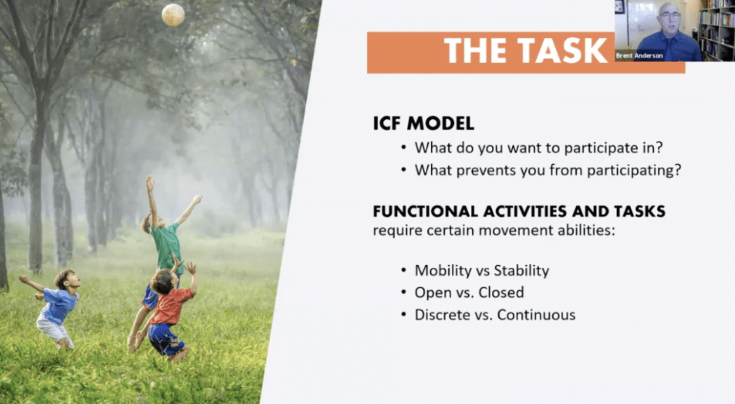 Discover The 3 Elements That Make Up Motor Control - Polestar Pilates